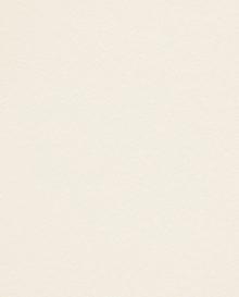 Rives Tradition Pale Cream - Le Papier
