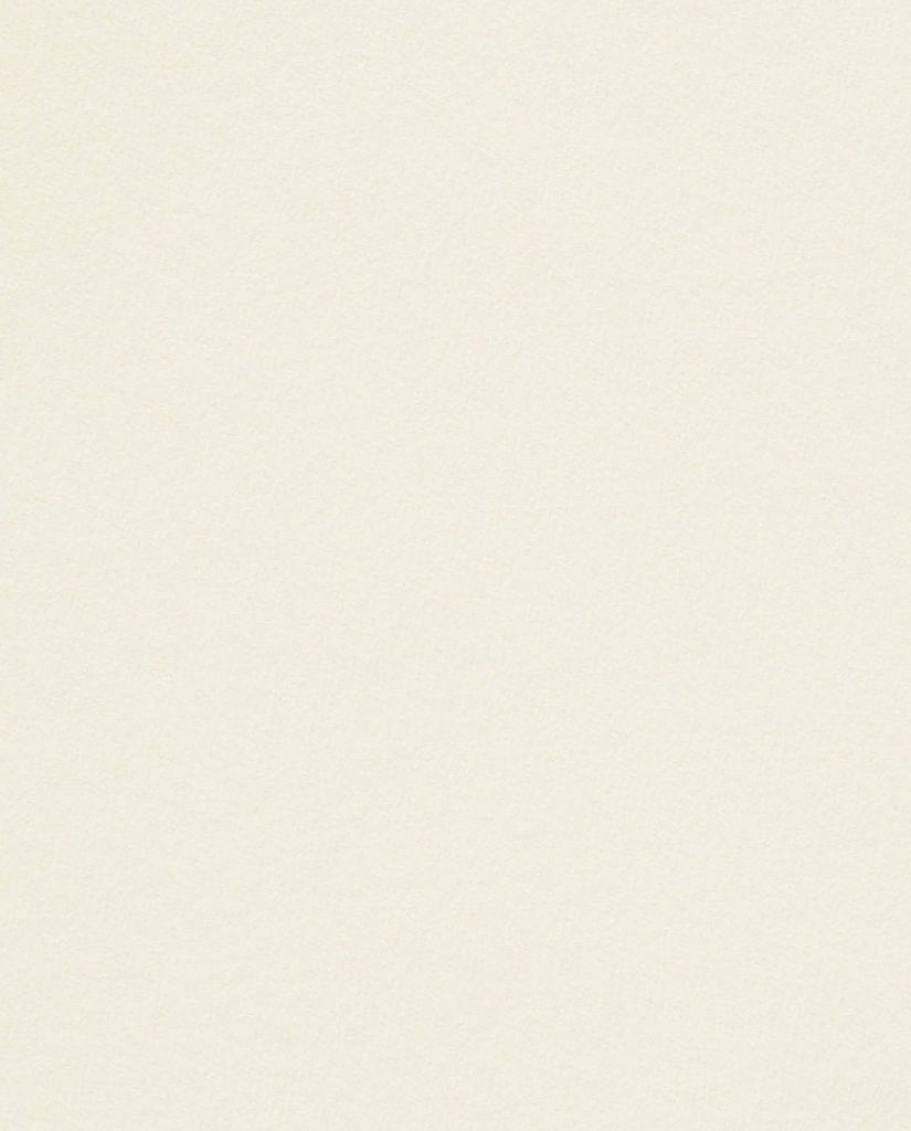 Rives Tradition Pale Cream - Le Papier