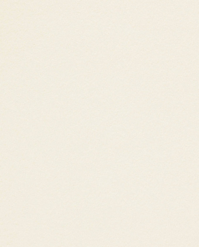 Rives Tradition Pale Cream - Le Papier