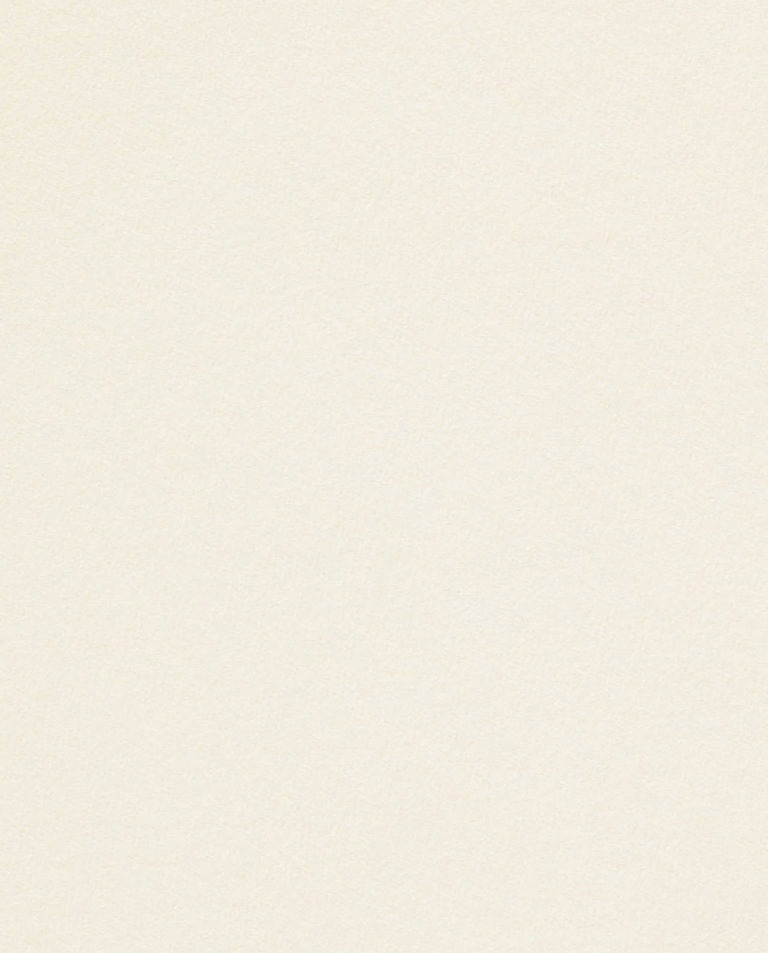 Rives Tradition Pale Cream - Le Papier